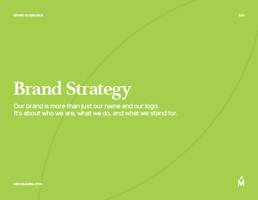 Brand Guidelines Kit | Professional Style Guide Template | Ebaqdesign